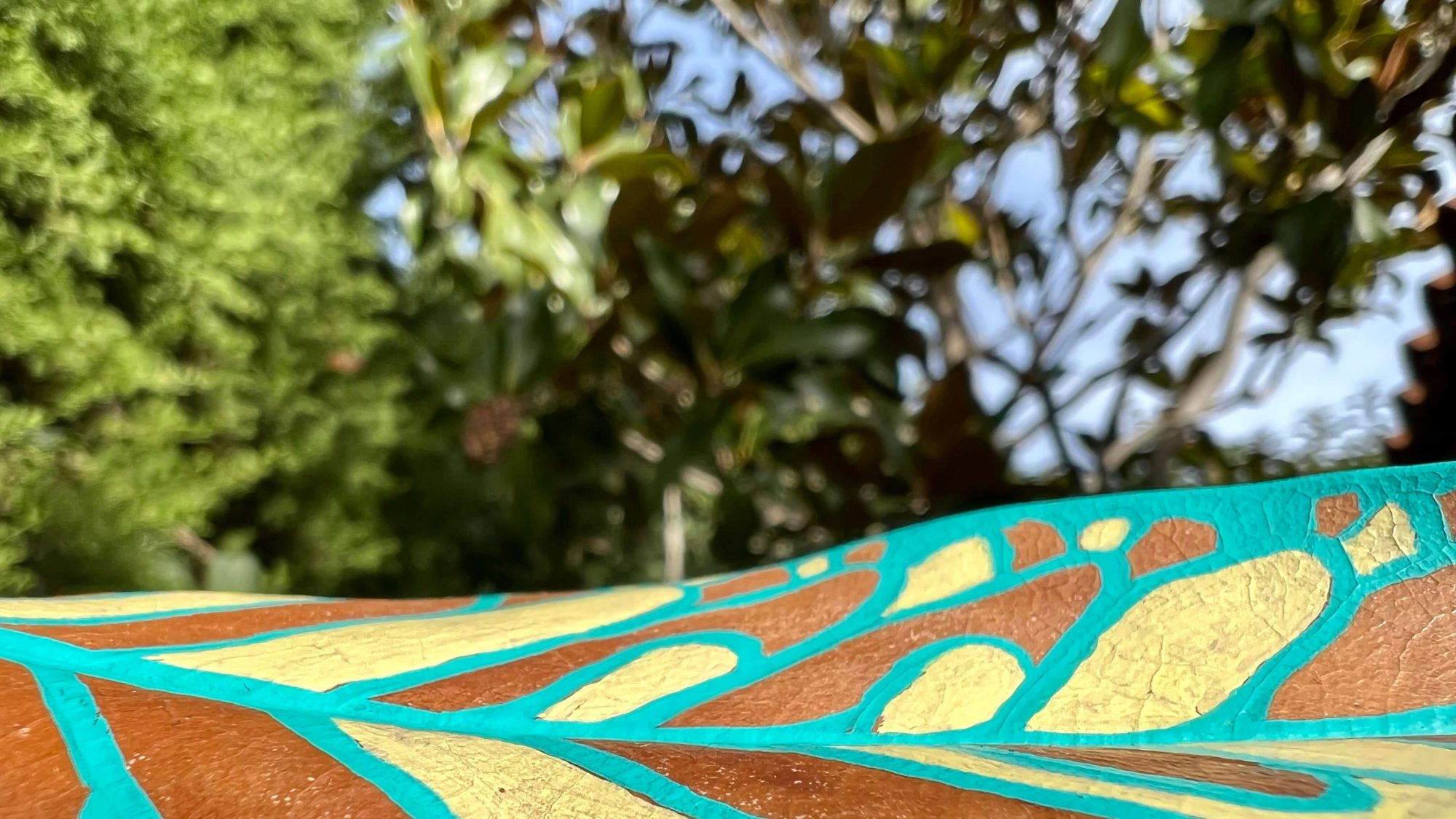 ¿Bulbo, tubérculo, rizoma o cormo? - Verdópolis